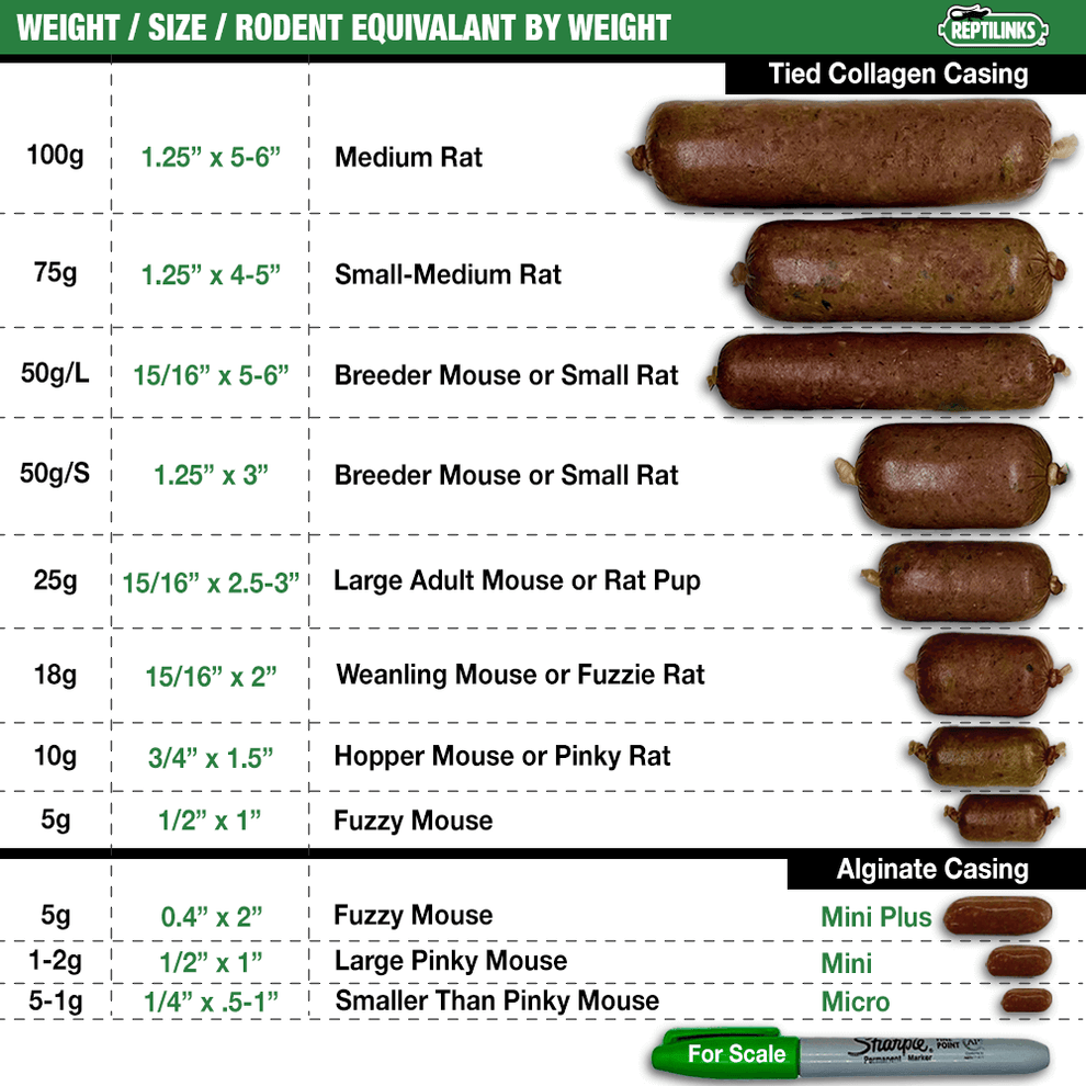 Insect & Rabbit + Fruits and Veggies – Reptilinks