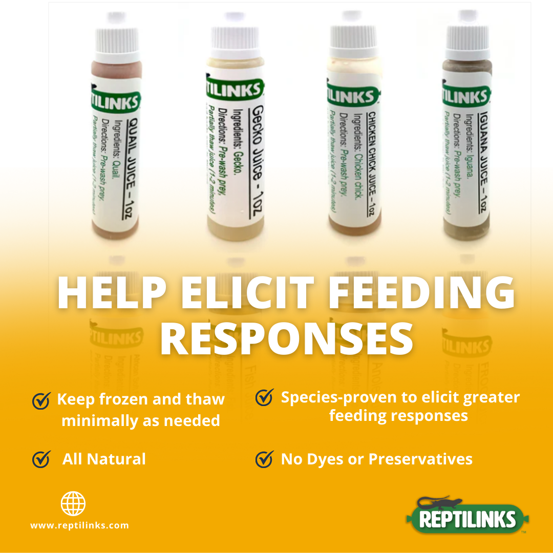 Frog Juice – Reptilinks